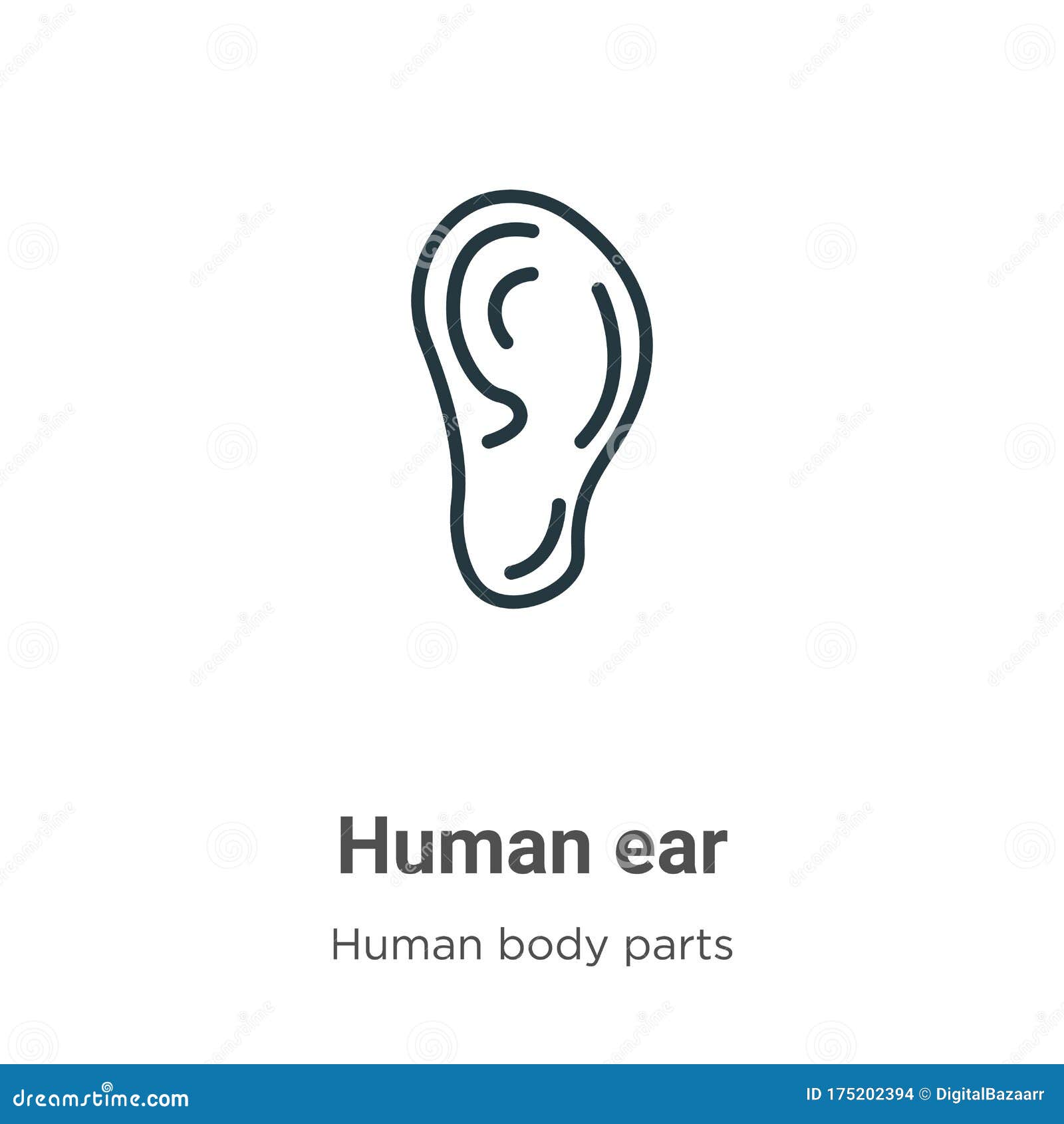 Human Ear Outline Vector Icon. Thin Line Black Human Ear Icon, Flat ...