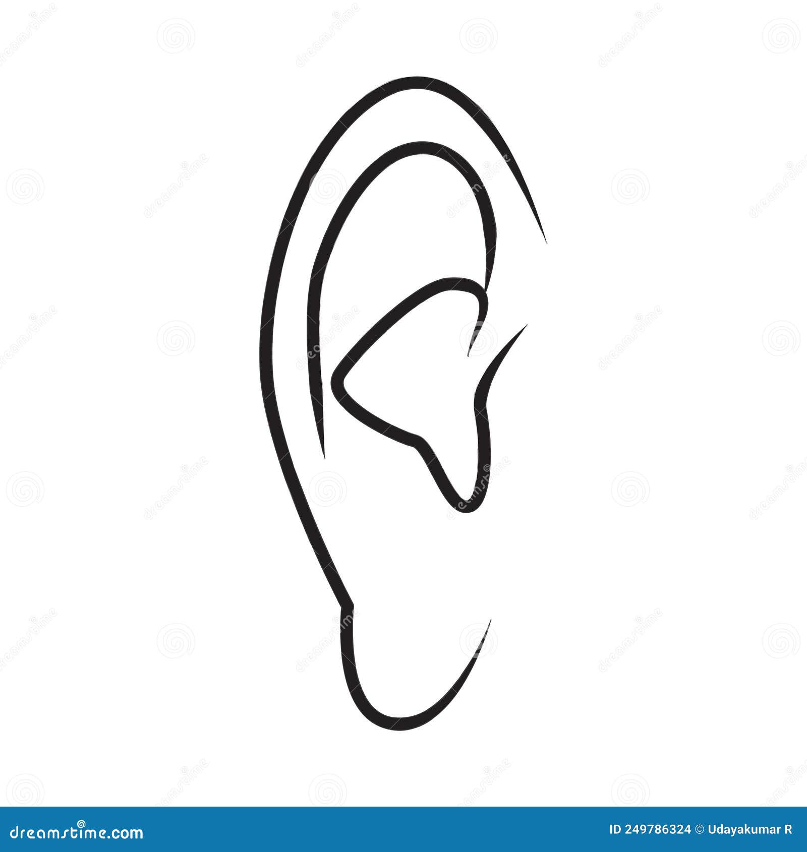 Human Ear Out Line. Vector. on White Background Stock Vector ...
