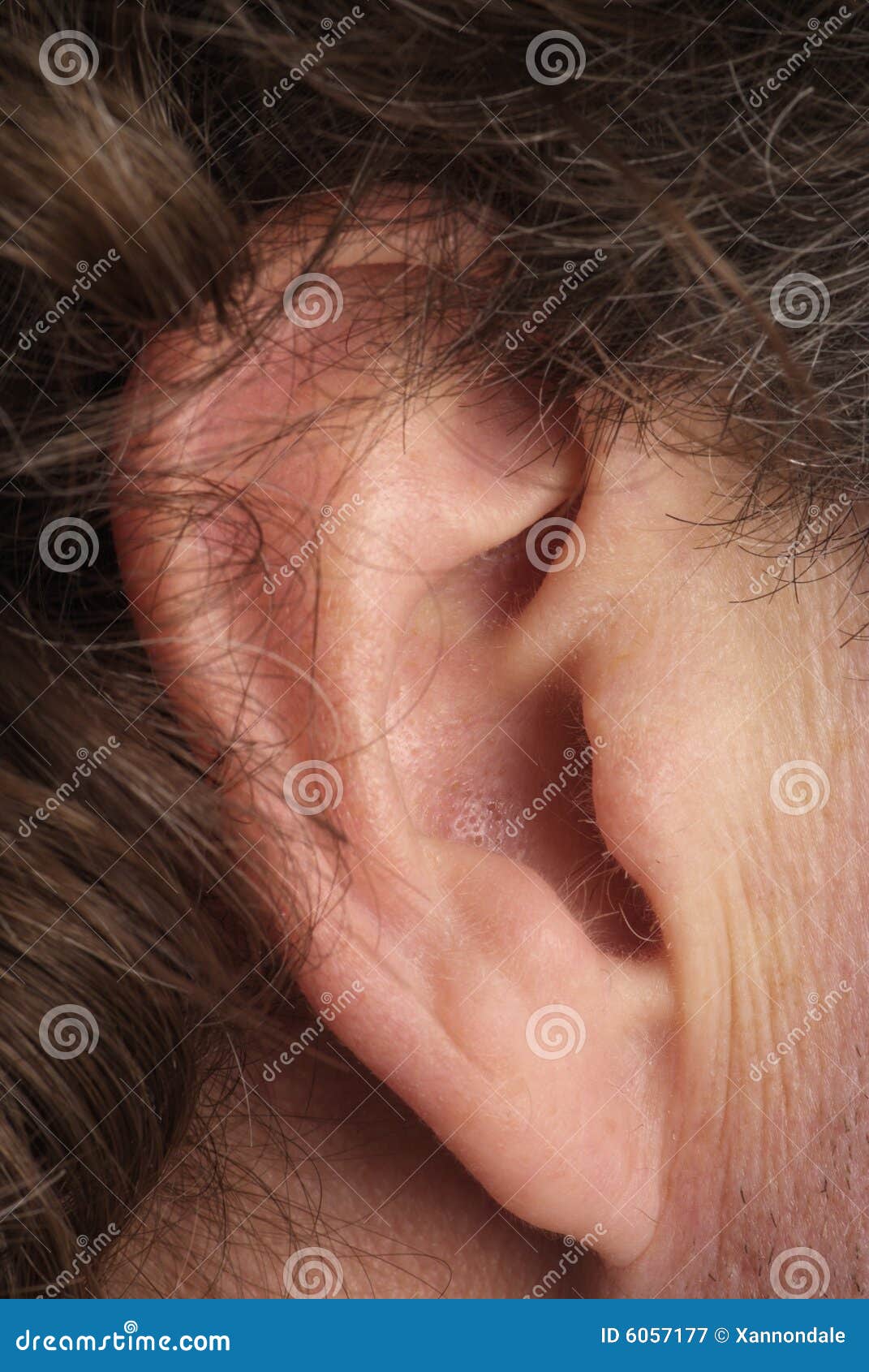 Human ear from the side stock image. Image of organism - 6057177