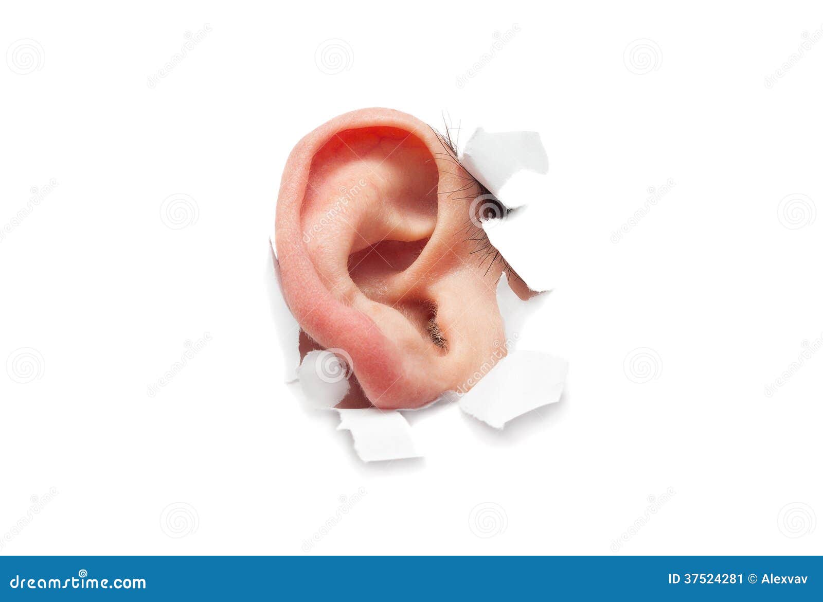The Human Ear is Sticking Out of the Hole Stock Image - Image of ...
