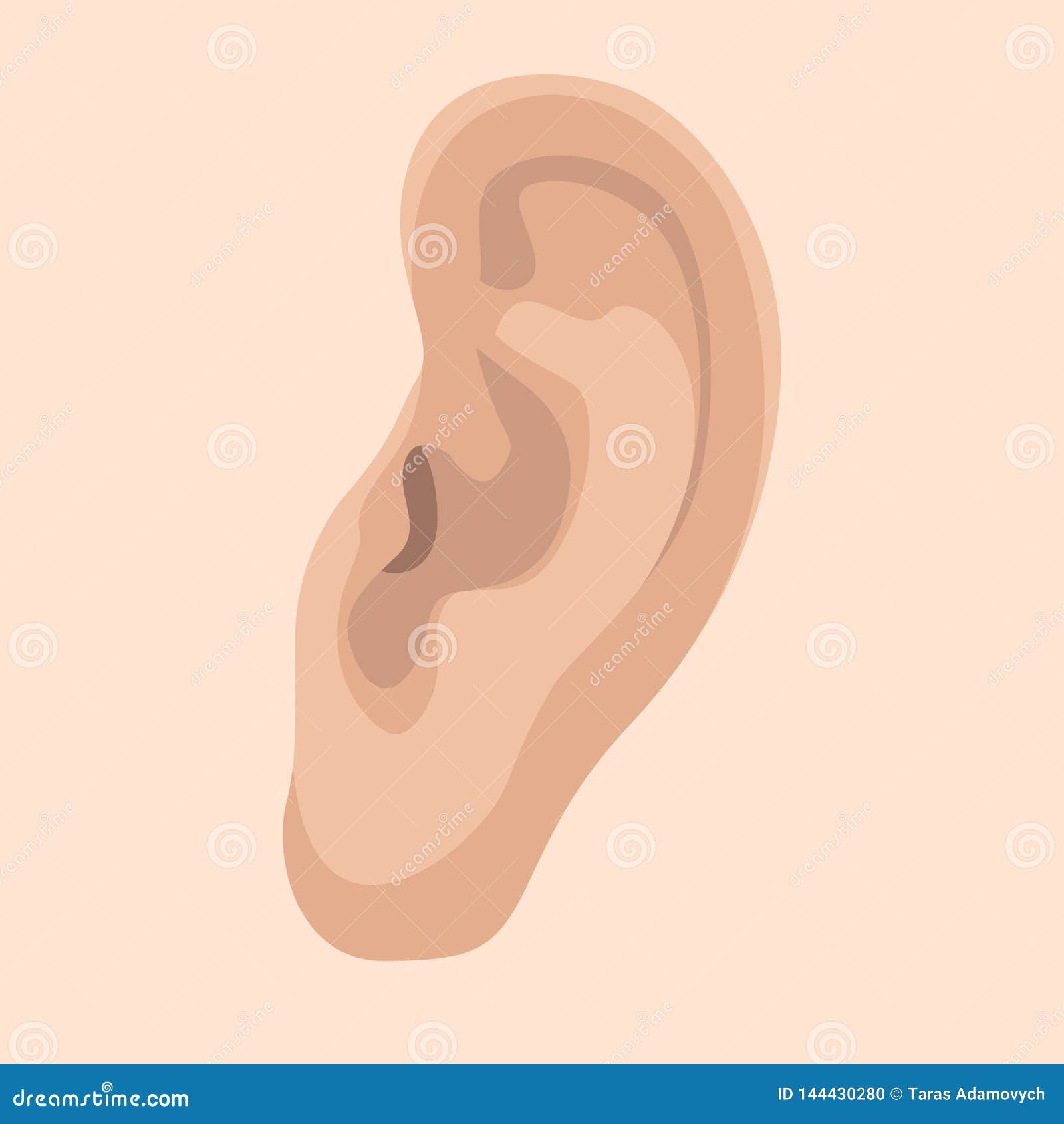Human Ear, Vector Illustration,flat Style, Profile Stock Vector ...