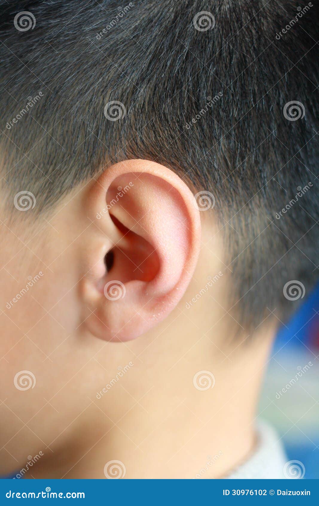 Human ear stock photo. Image of listening, medical, care - 30976102