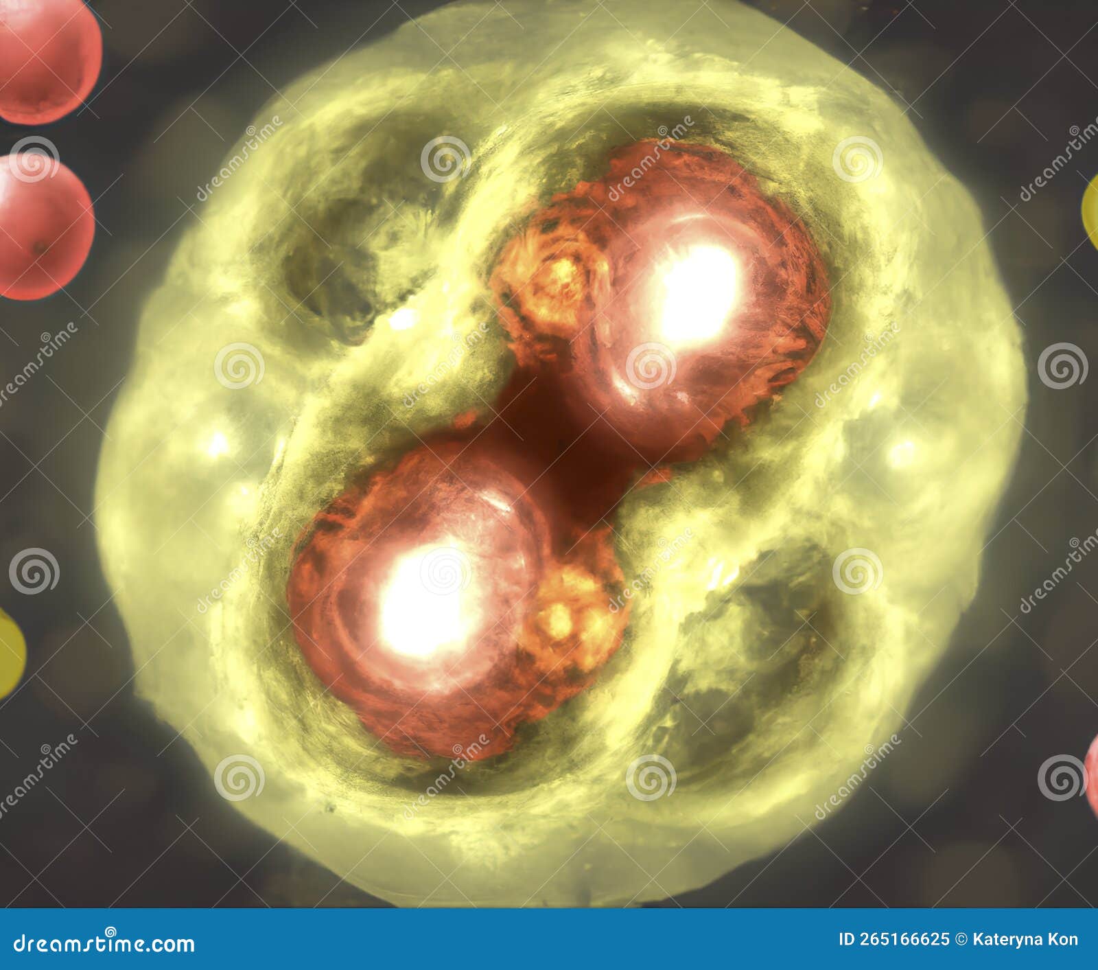 Human embryo, illustration stock illustration. Illustration of human ...