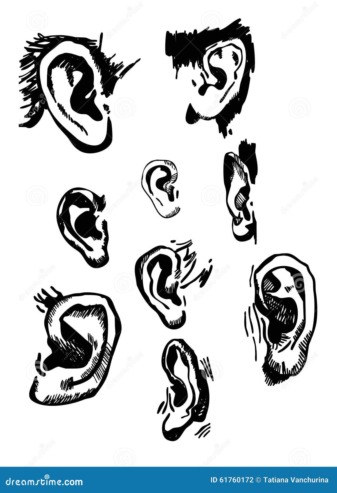 Human Ears Set. Realistic Hand Drawn Vector Stock Vector - Illustration ...