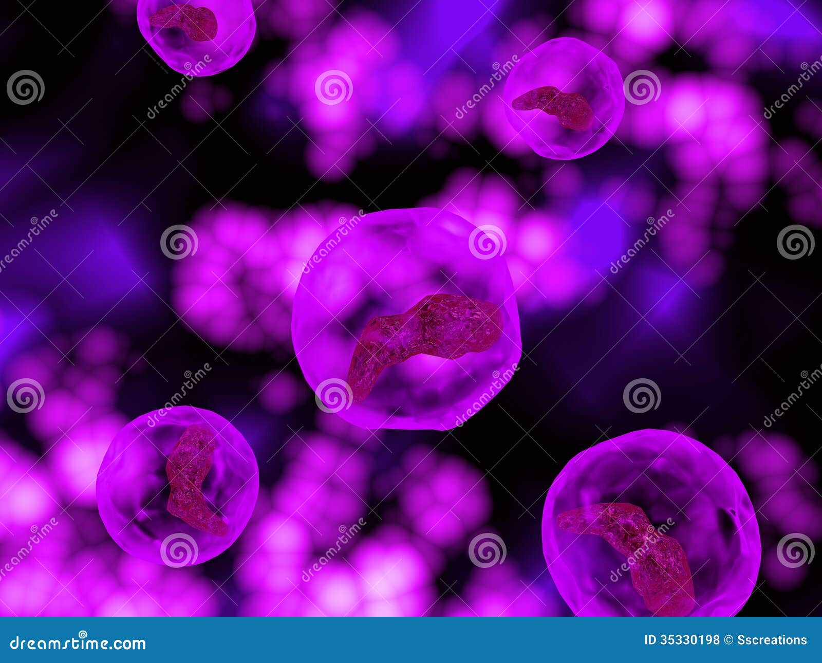 Human egg cell stock illustration. Illustration of fertilization - 35330198