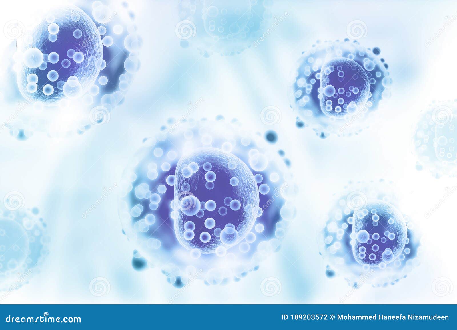 Human egg cell stock illustration. Illustration of cell - 189203572