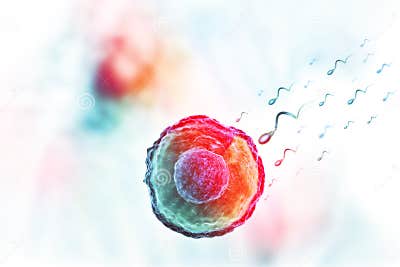Human Egg Cell on Science Background Stock Illustration - Illustration ...