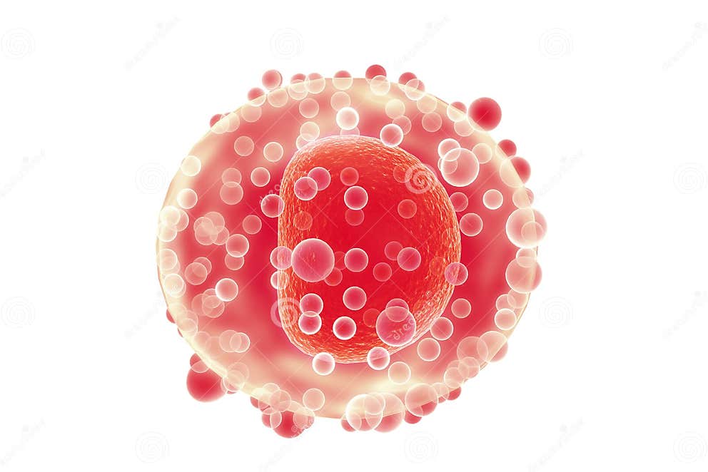 Human egg cell stock illustration. Illustration of magnification ...