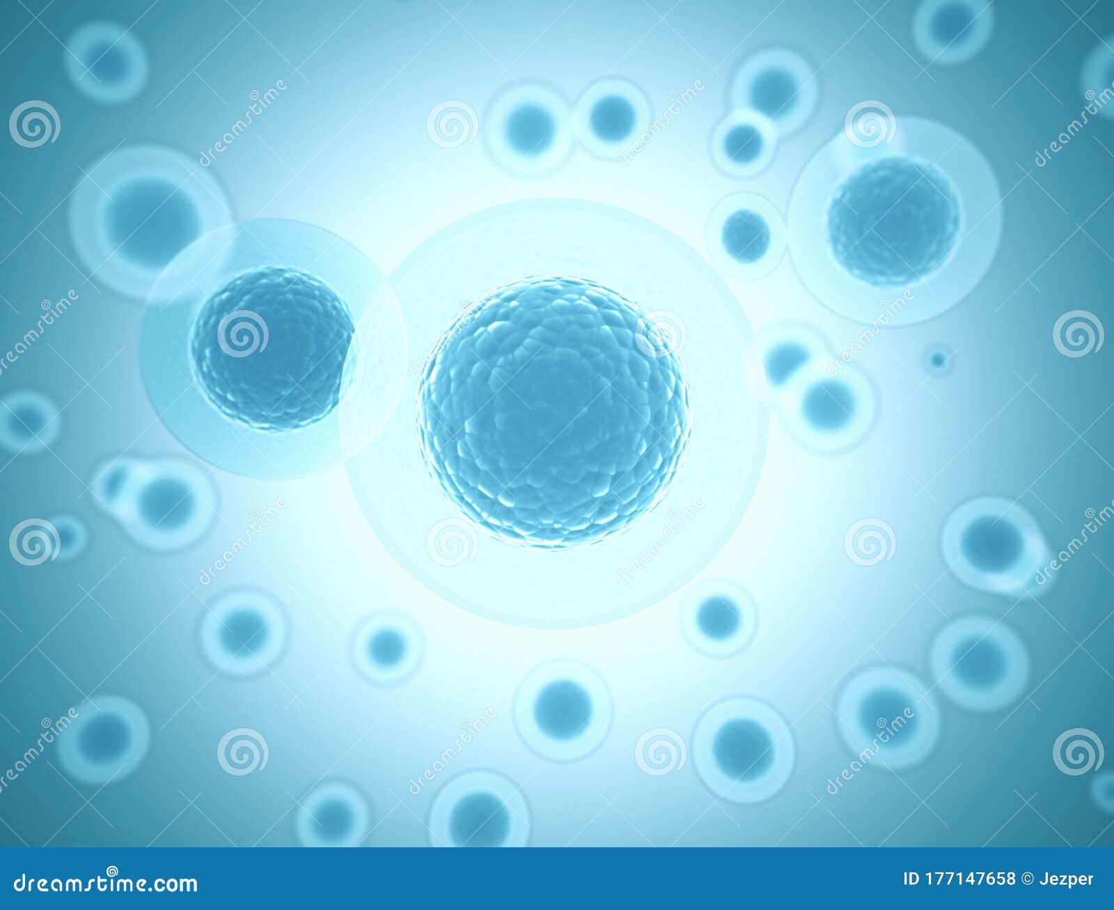 Egg Cells Science Illustration Stock Illustration - Illustration of ...