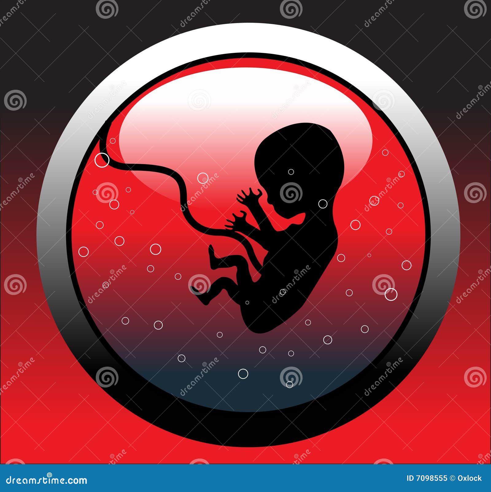 Human Embryo In The Uterus, Scientifically Accurate 3D Illustration ...