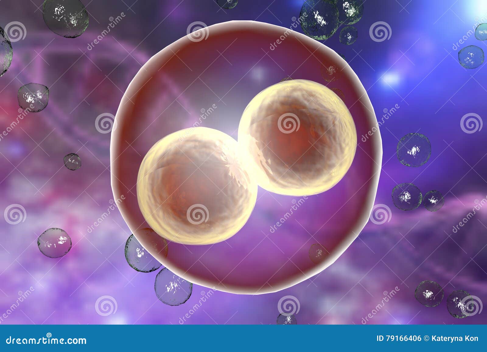 Human Embryo on Background with DNA Stock Illustration - Illustration ...
