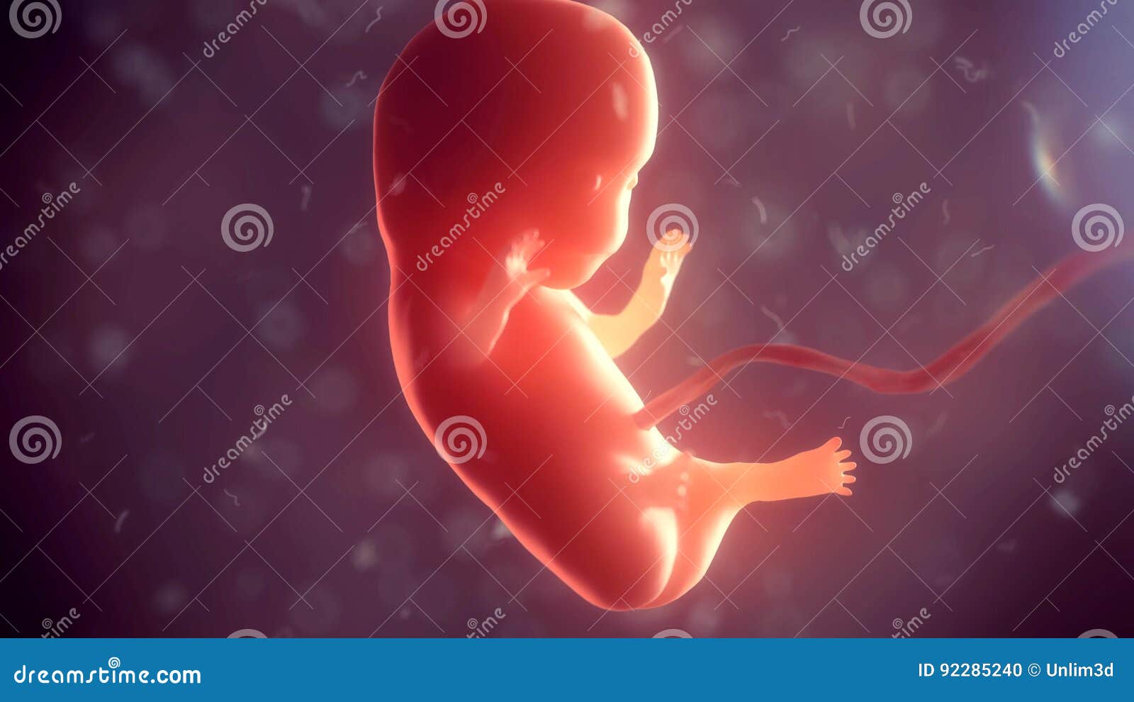 Embryo Cartoons, Illustrations & Vector Stock Images - 17839 Pictures ...