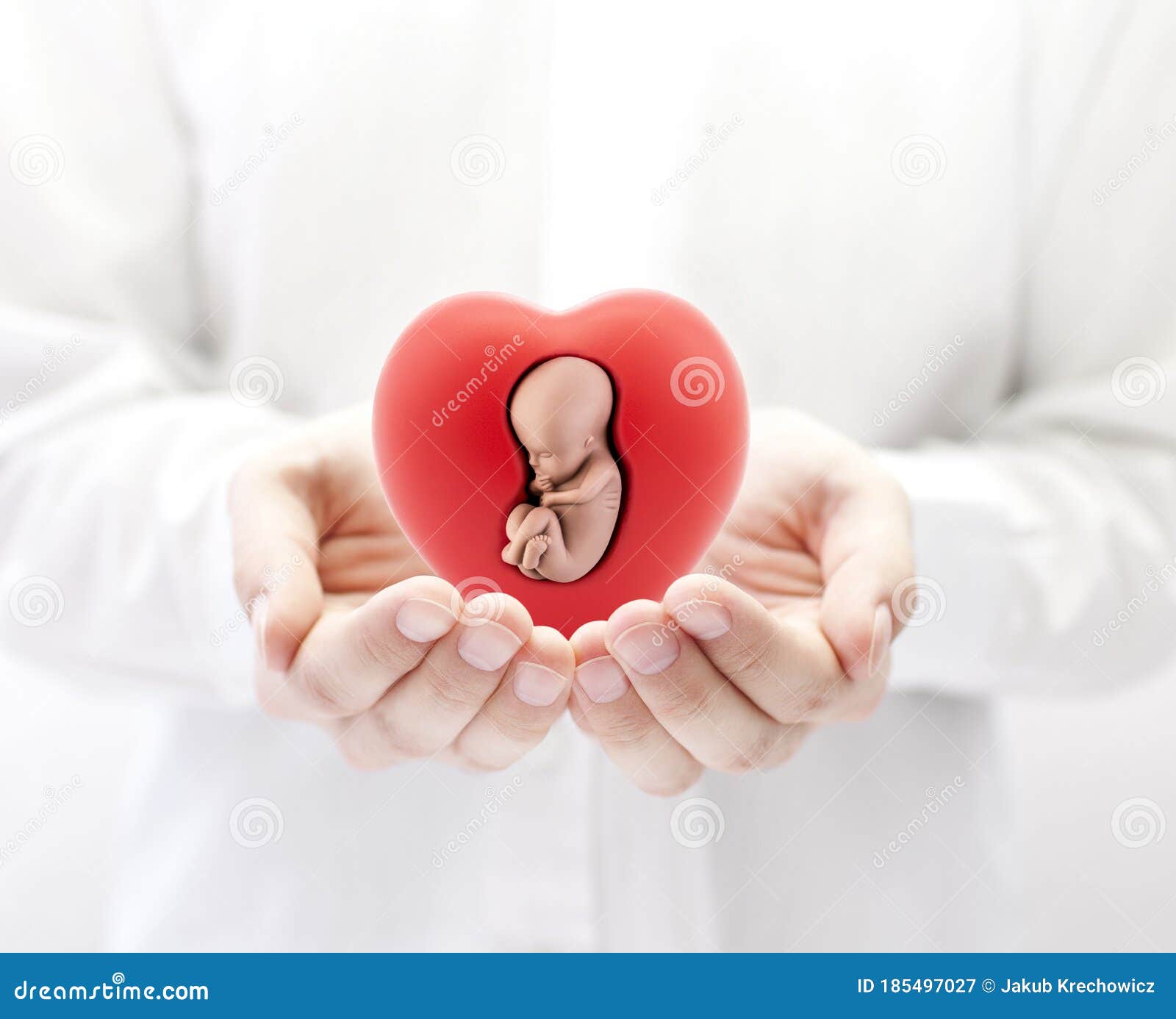 Human Embryo in Red Heart on Hands Stock Image - Image of embryo ...