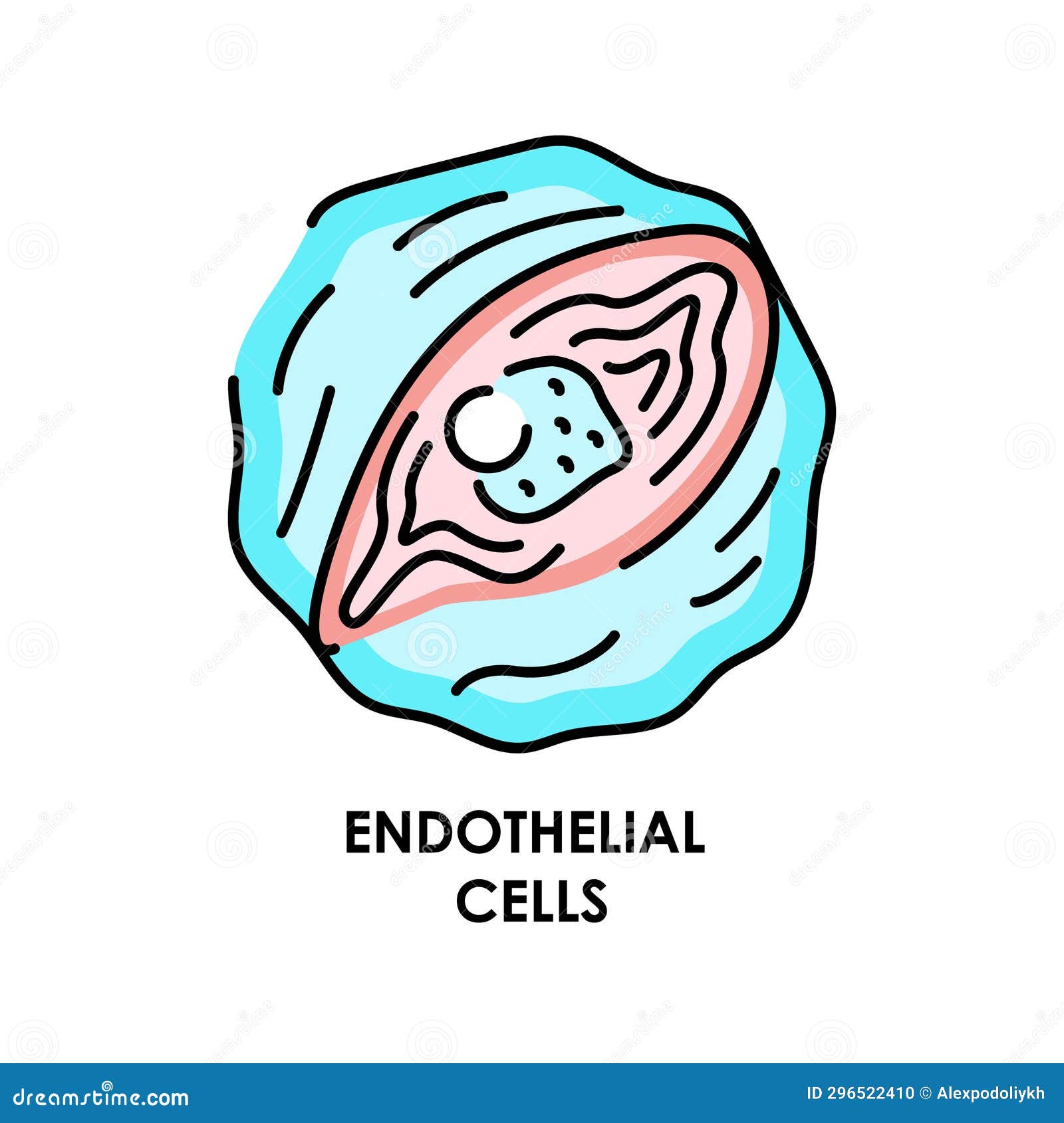 Human Endothelial Cell Color Line Icon. Microorganisms Microbes, Bacteria. Vector Illustration ...