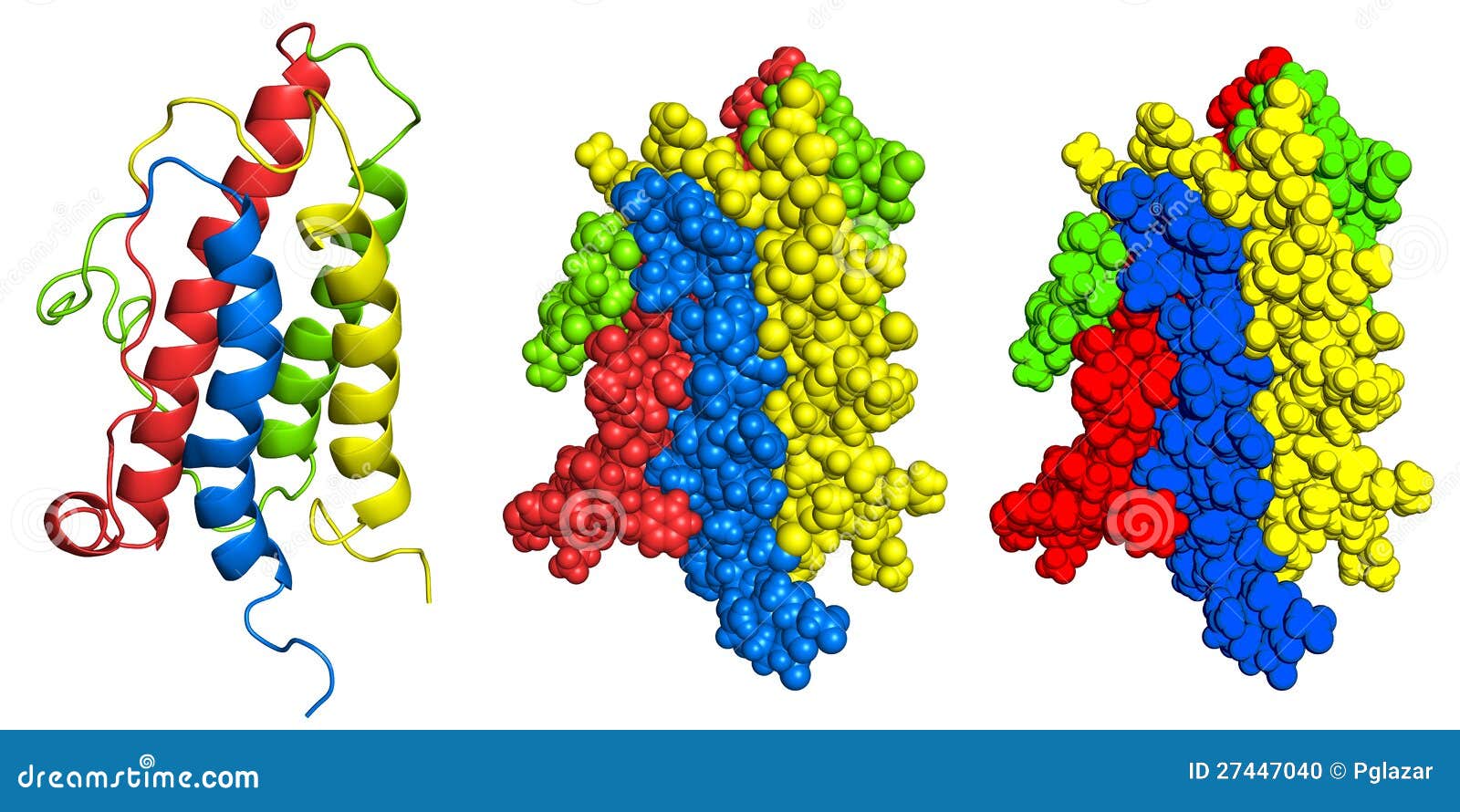 Human Erythropoietin Molecule Stock Illustration - Illustration of ...