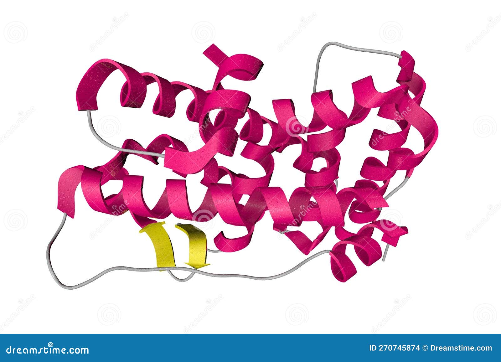 Estrogen-related Receptor Gamma Ligand Binding Domain in Complex with ...