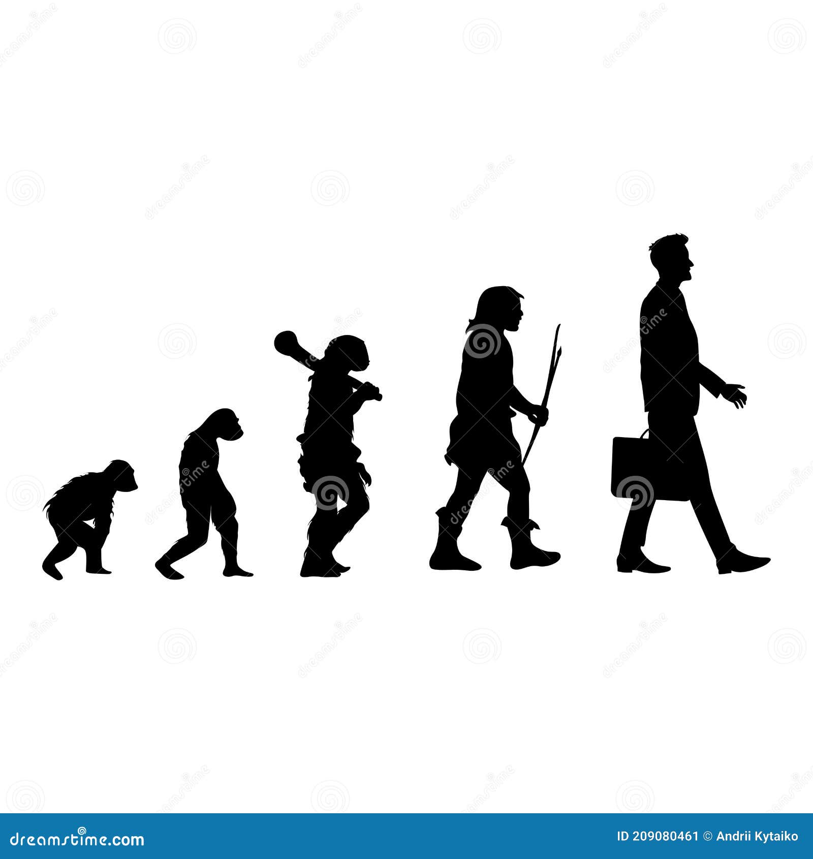 Human Evolution Black Silhouette, from Ape To Man Stock Vector ...