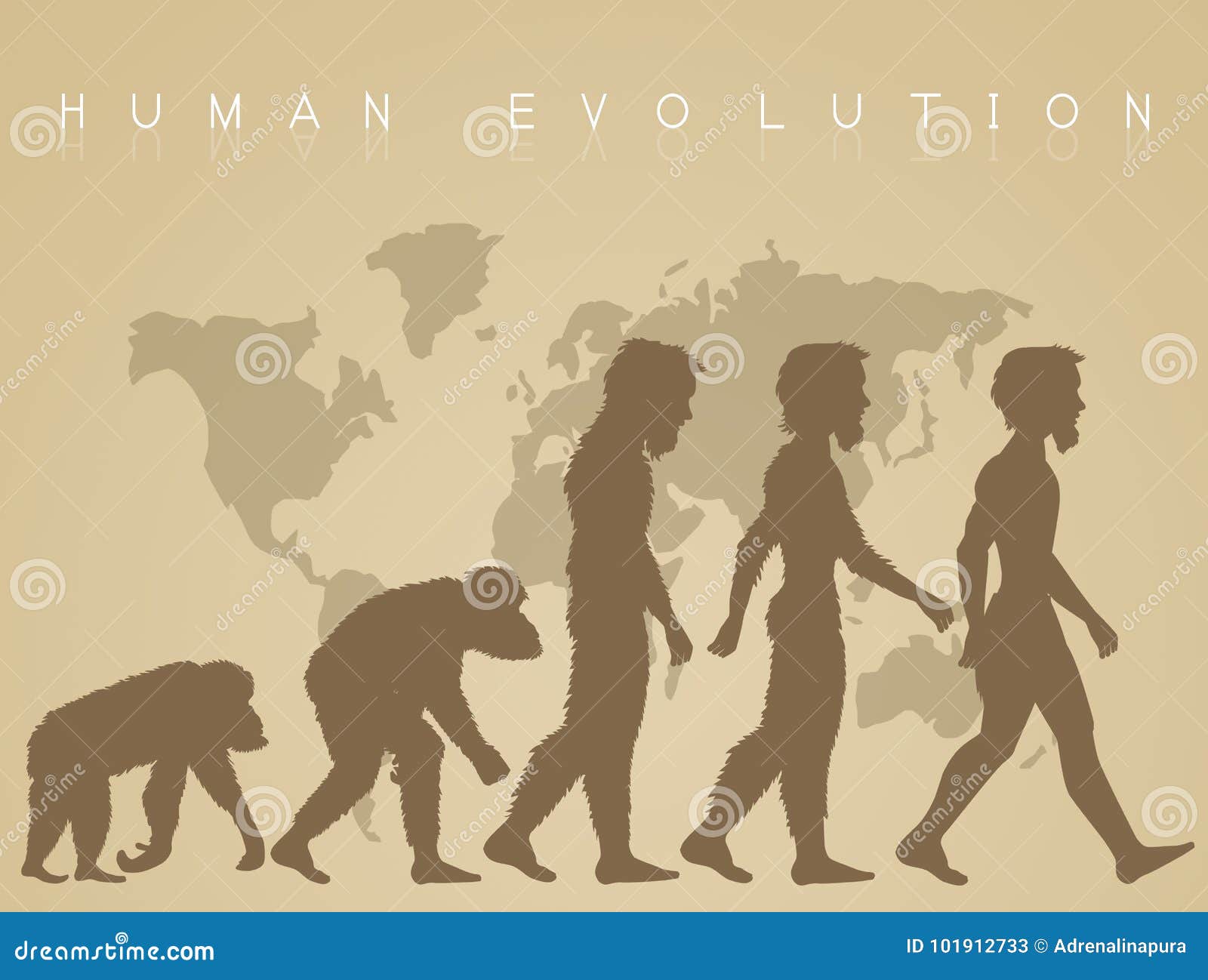 Human evolution cartoon stock illustration. Illustration of sapiens ...