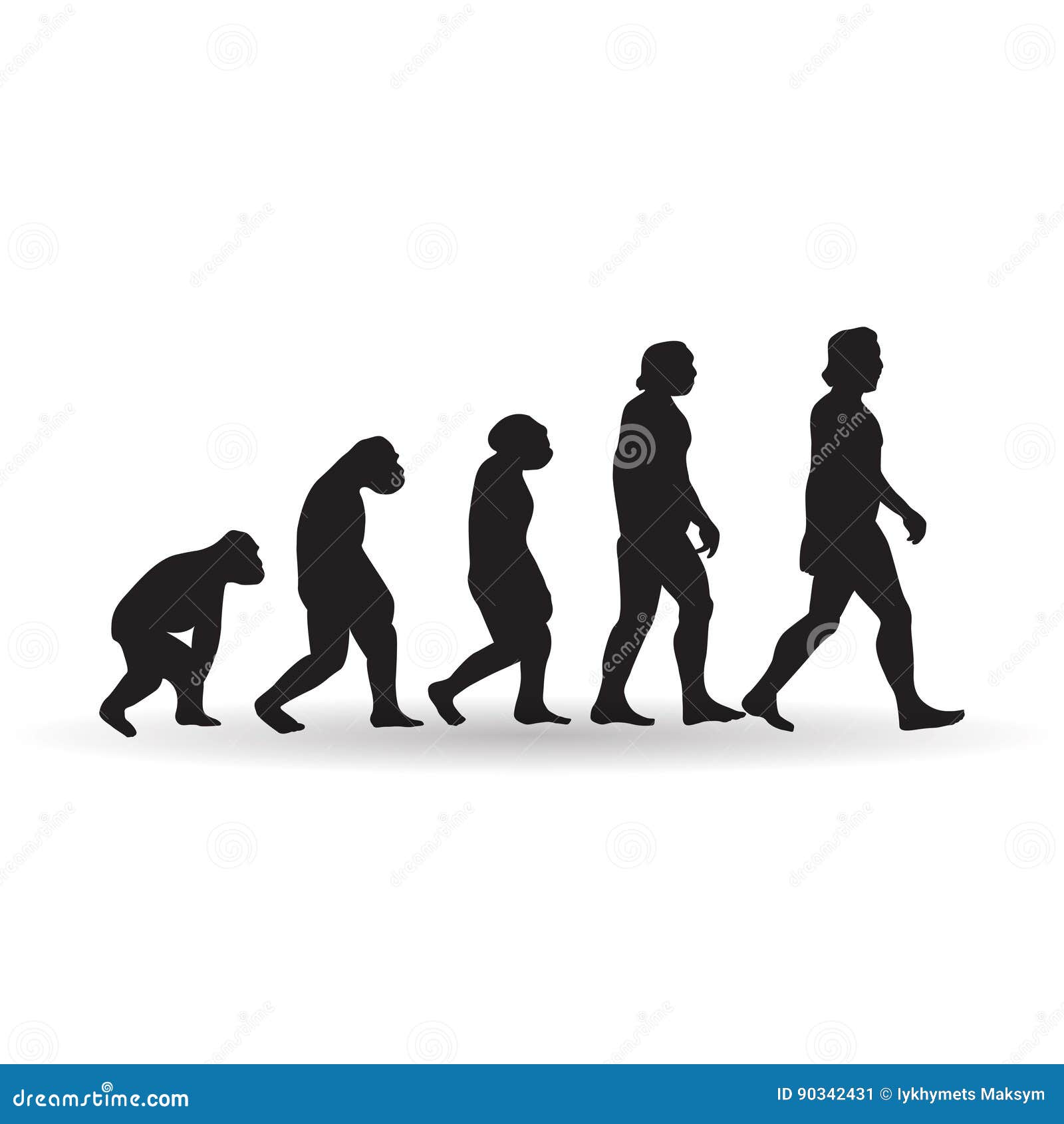 Human Evolution. Illustration Stock Illustration - Illustration of ...