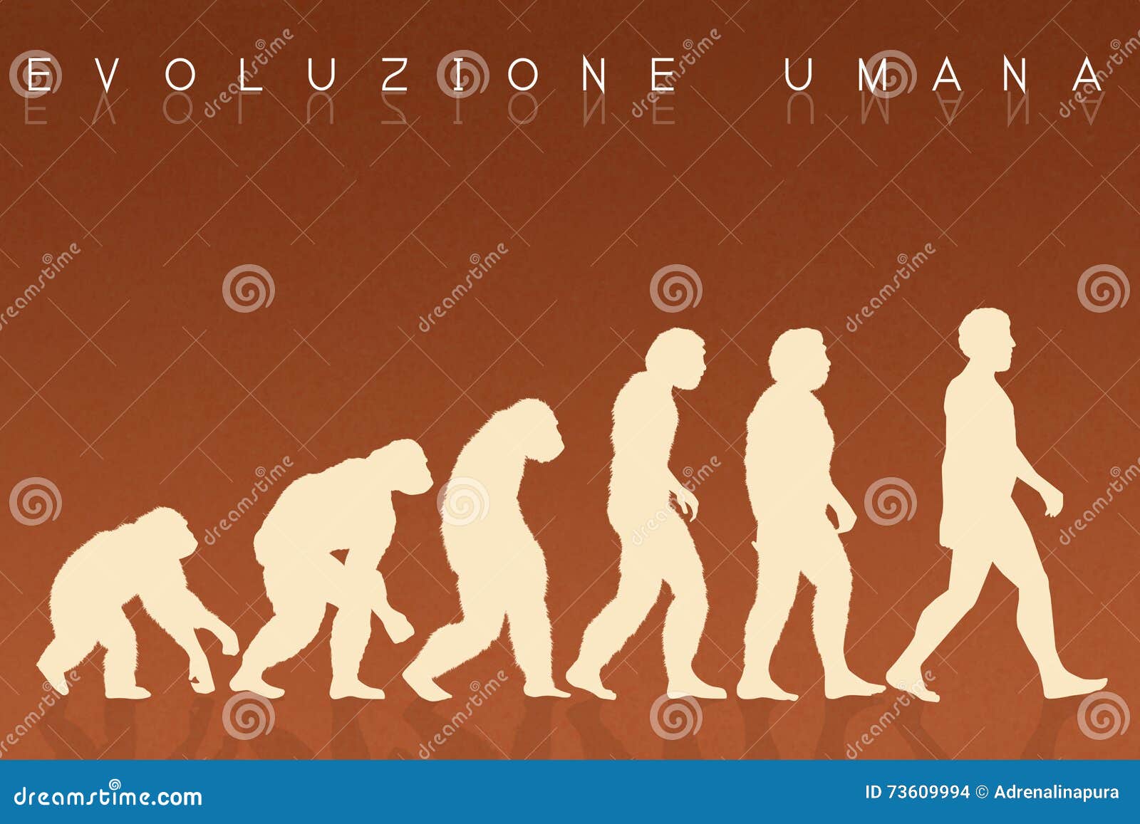 Human evolution stock illustration. Illustration of primitive - 73609994