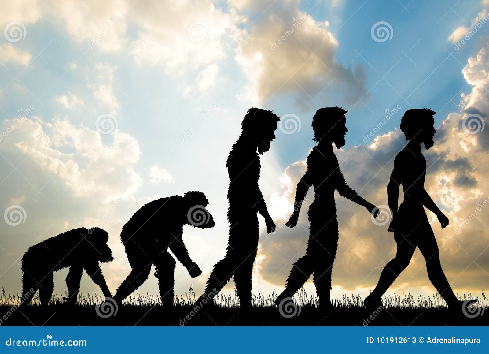 Human evolution stock illustration. Illustration of cartoon - 101912613