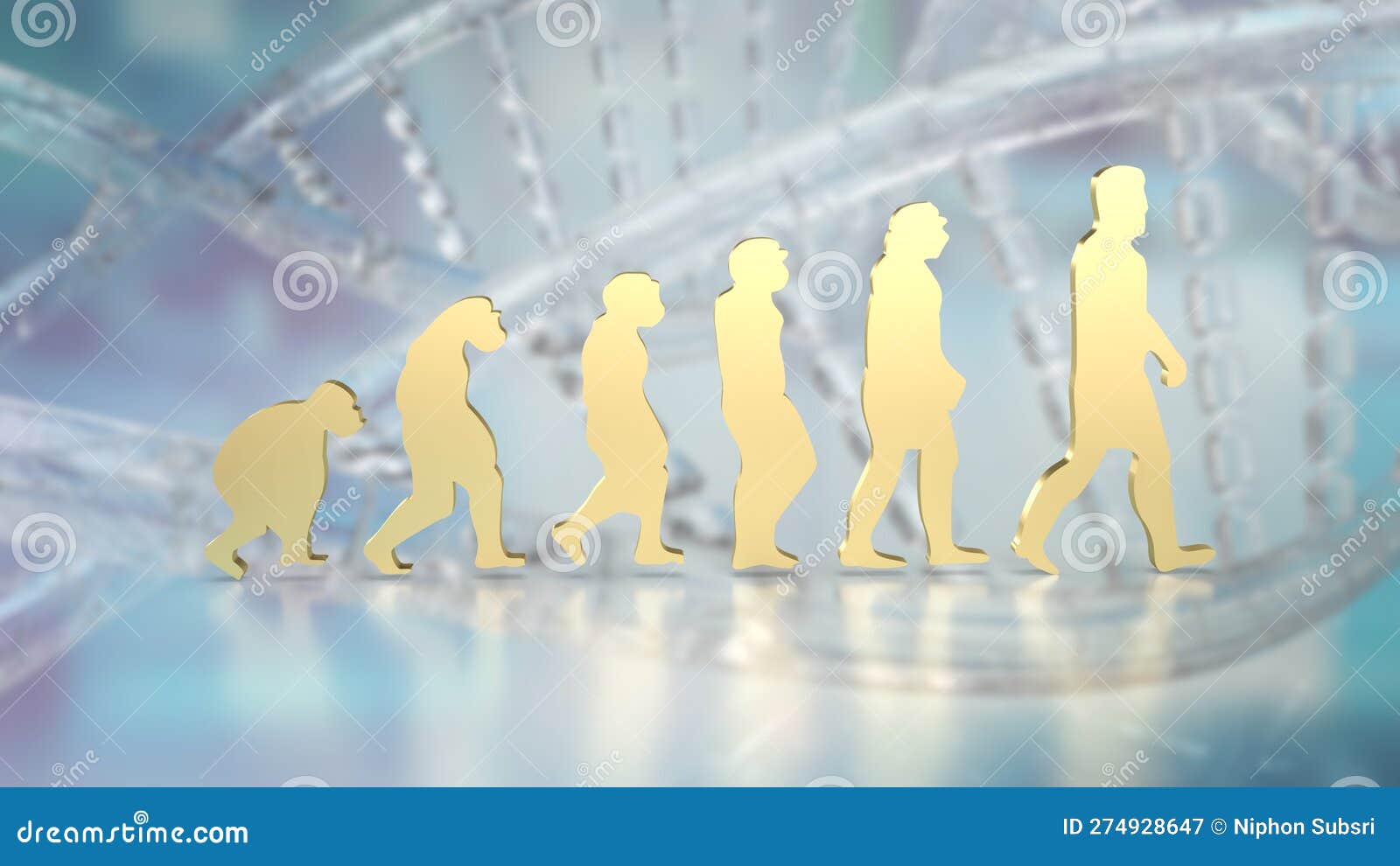The Human Evolution Image for Education or Sci Concept AI Generated ...