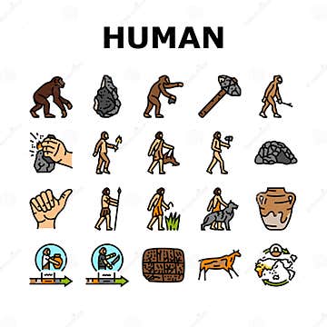 Human Evolution Man Caveman Icons Set Vector Stock Vector ...
