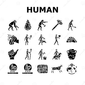 Human Evolution Man Caveman Icons Set Vector Stock Vector ...