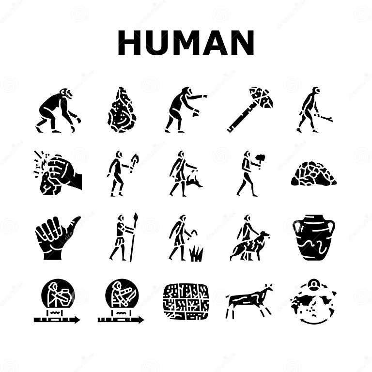 Human Evolution Man Caveman Icons Set Vector Stock Vector ...