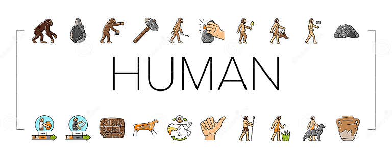 Human Evolution Man Caveman Icons Set Vector Stock Vector ...