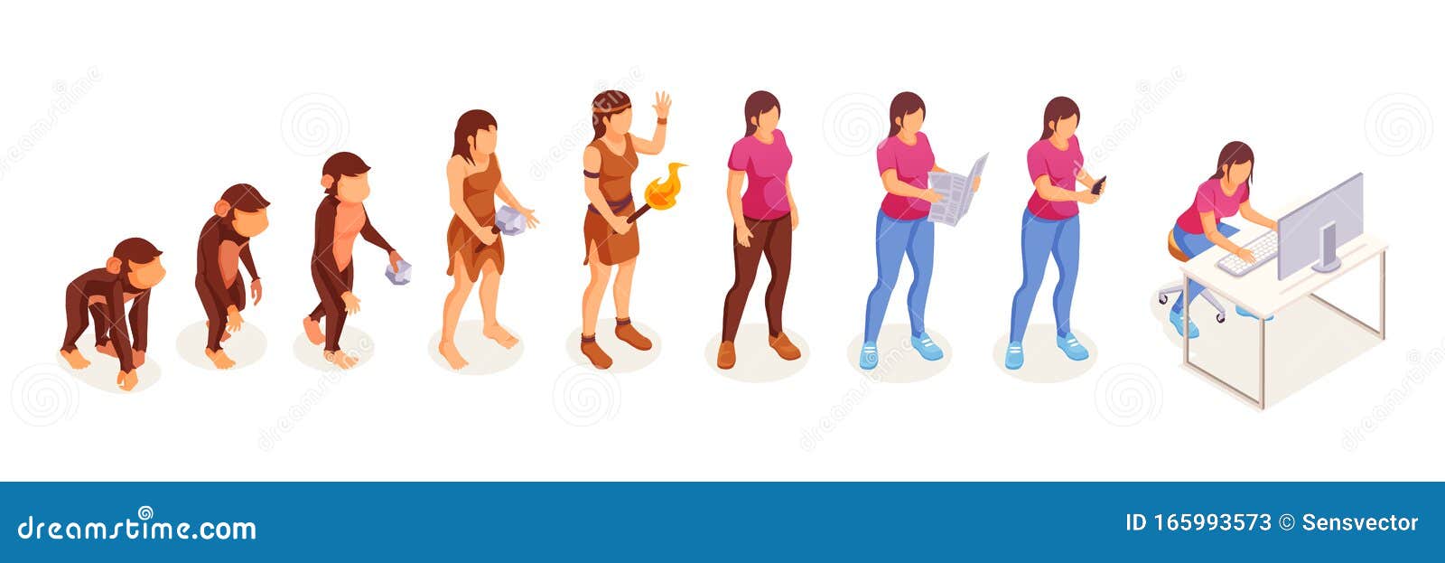 Human Evolution, Monkey To Modern Woman, Vector Stock Vector ...