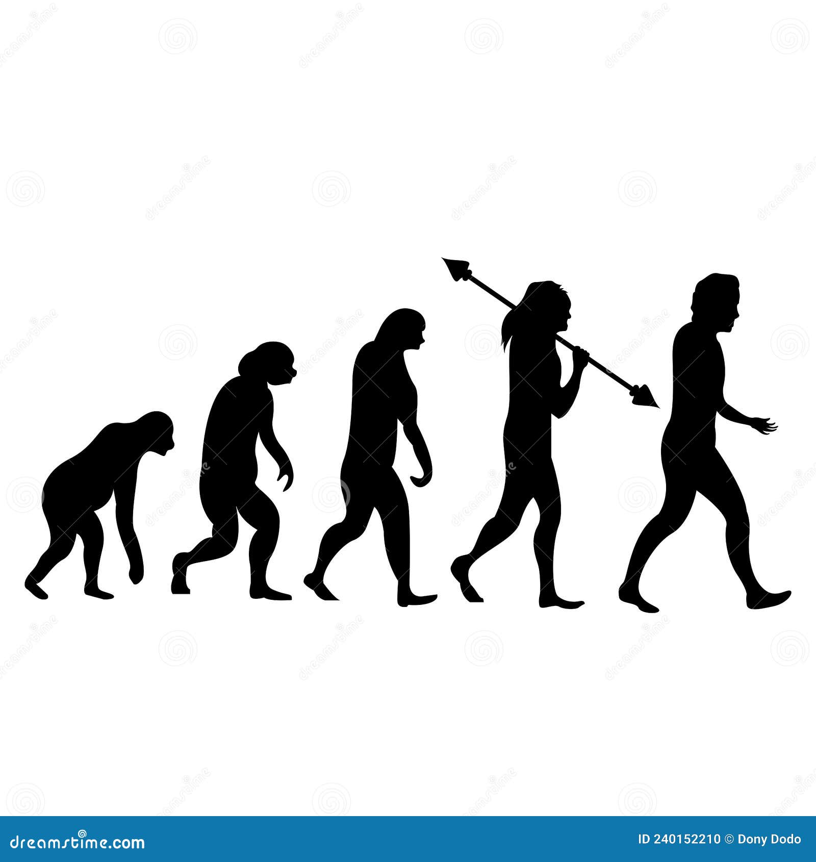 Human Evolution. from Monkeys To Normal Humans Stock Illustration ...