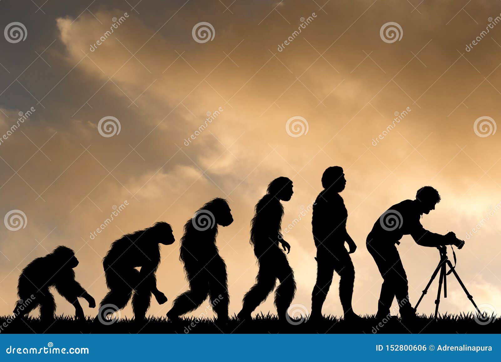 Human Evolution with Photographer Man Stock Illustration - Illustration ...