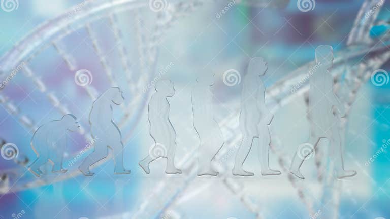 The Human Evolution on DNA Background 3d Rendering Stock Illustration ...