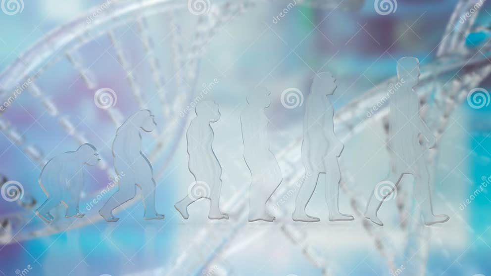 The Human Evolution on DNA Background 3d Rendering Stock Illustration ...