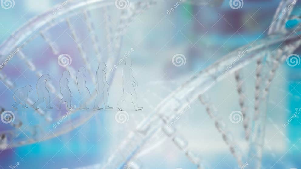 The Human Evolution on DNA Background 3d Rendering Stock Photo - Image ...