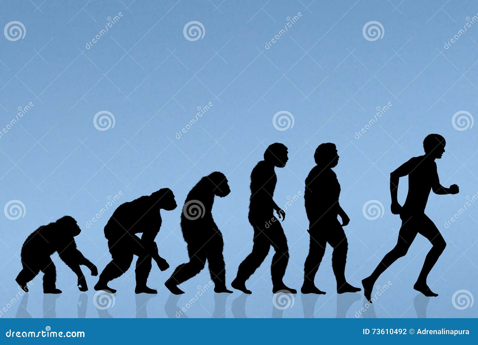 Human evolution running stock illustration. Illustration of fitness ...