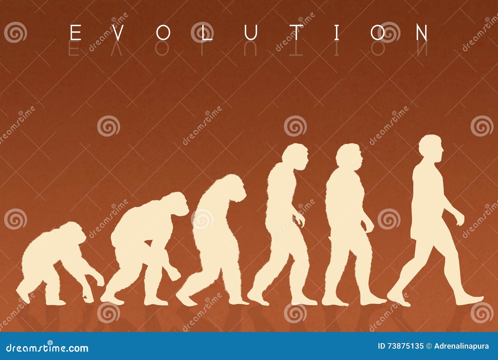 Human Evolution Species Royalty-Free Stock Photo | CartoonDealer.com ...