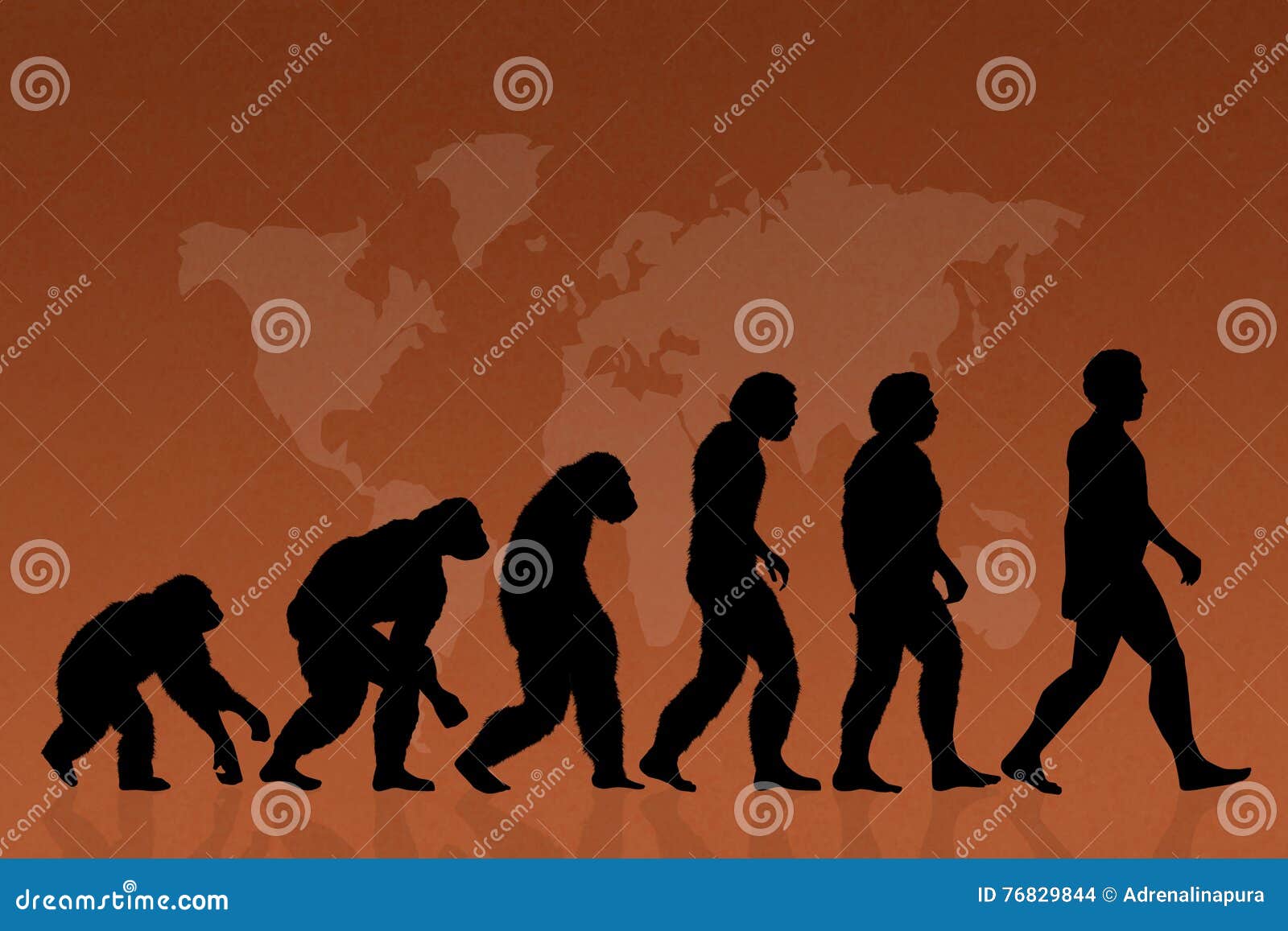 Human evolution, species stock illustration. Illustration of species ...