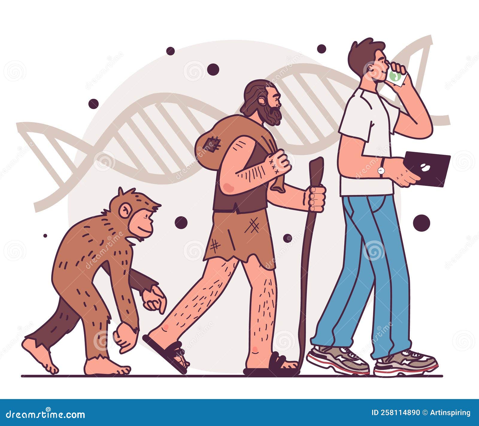 Human Evolution Stages. Evolutionary Development From Primate Royalty ...