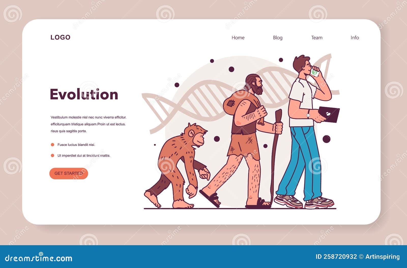 Human Evolution Stages. Evolutionary Development From Primate Vector ...