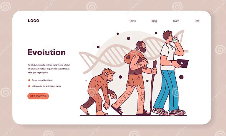Human Evolution Stages. Evolutionary Development from Primate Stock ...
