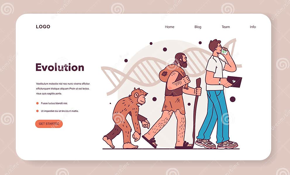 Human Evolution Stages. Evolutionary Development from Primate Stock ...
