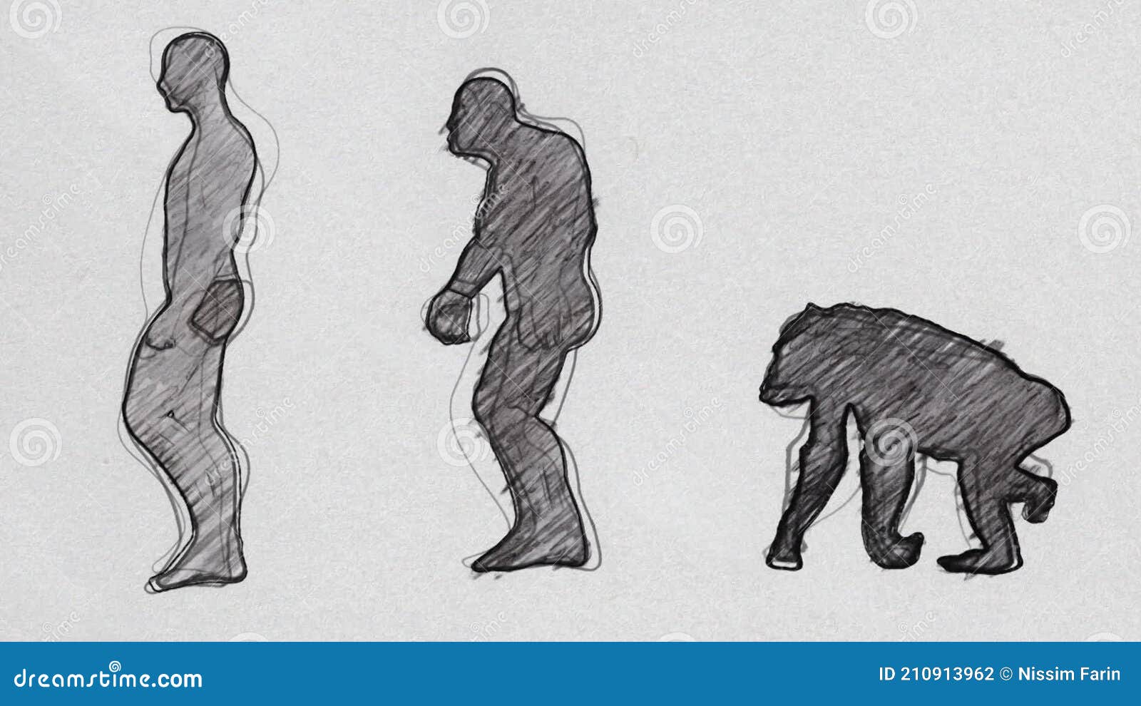 Human Evolution Timeline Pencil Sketch Seamless Loop Stock Footage ...