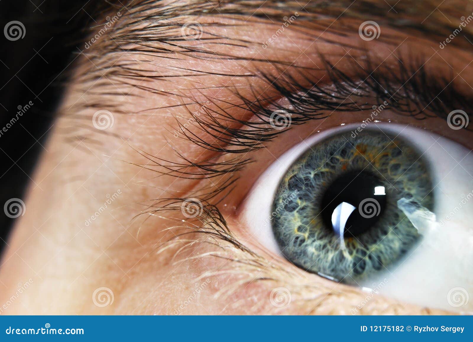 Human eye stock photo. Image of shine, eyeball, skin - 12175182