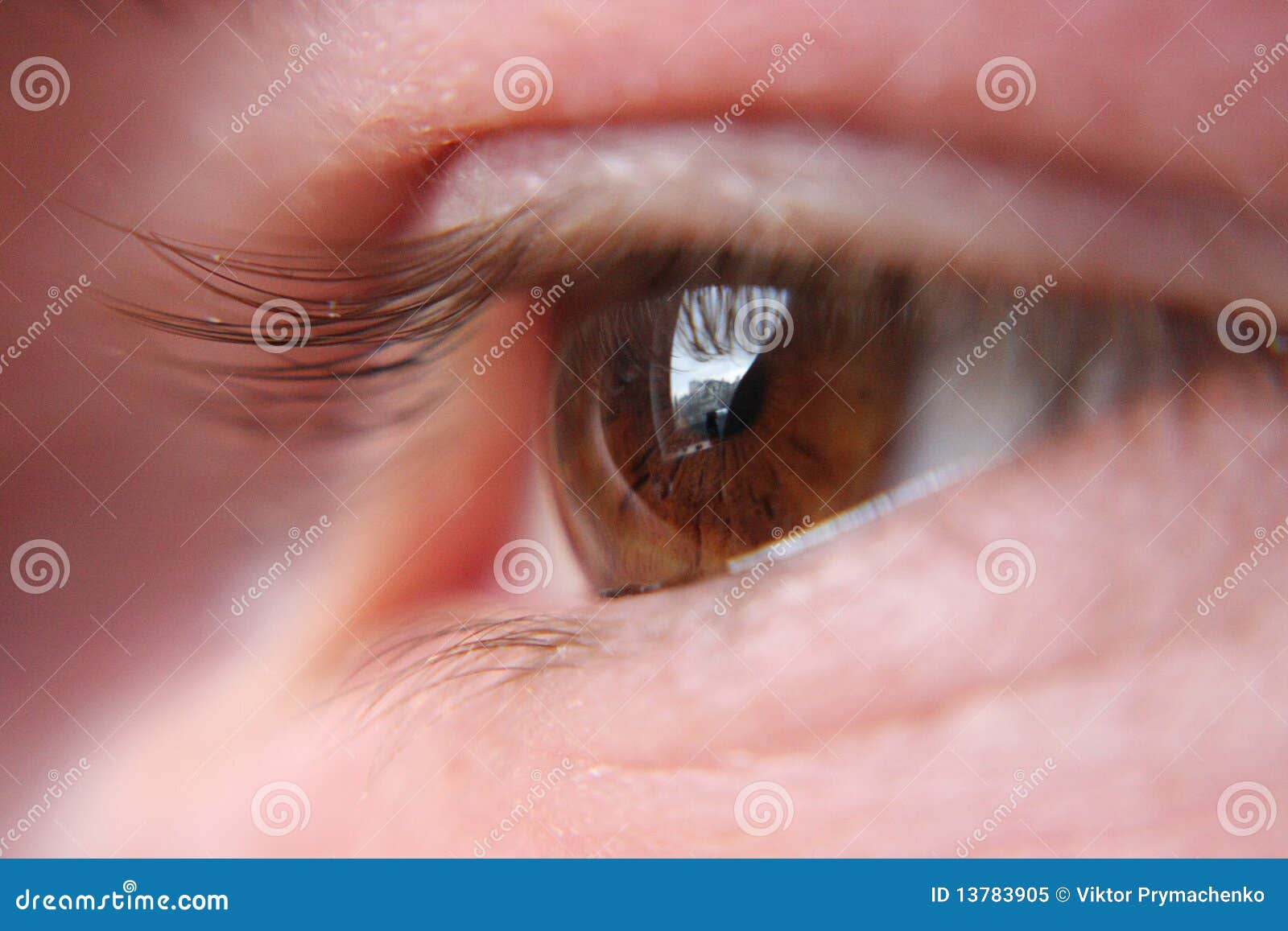 Human Eye Royalty Free Stock Photo - Image: 13783905