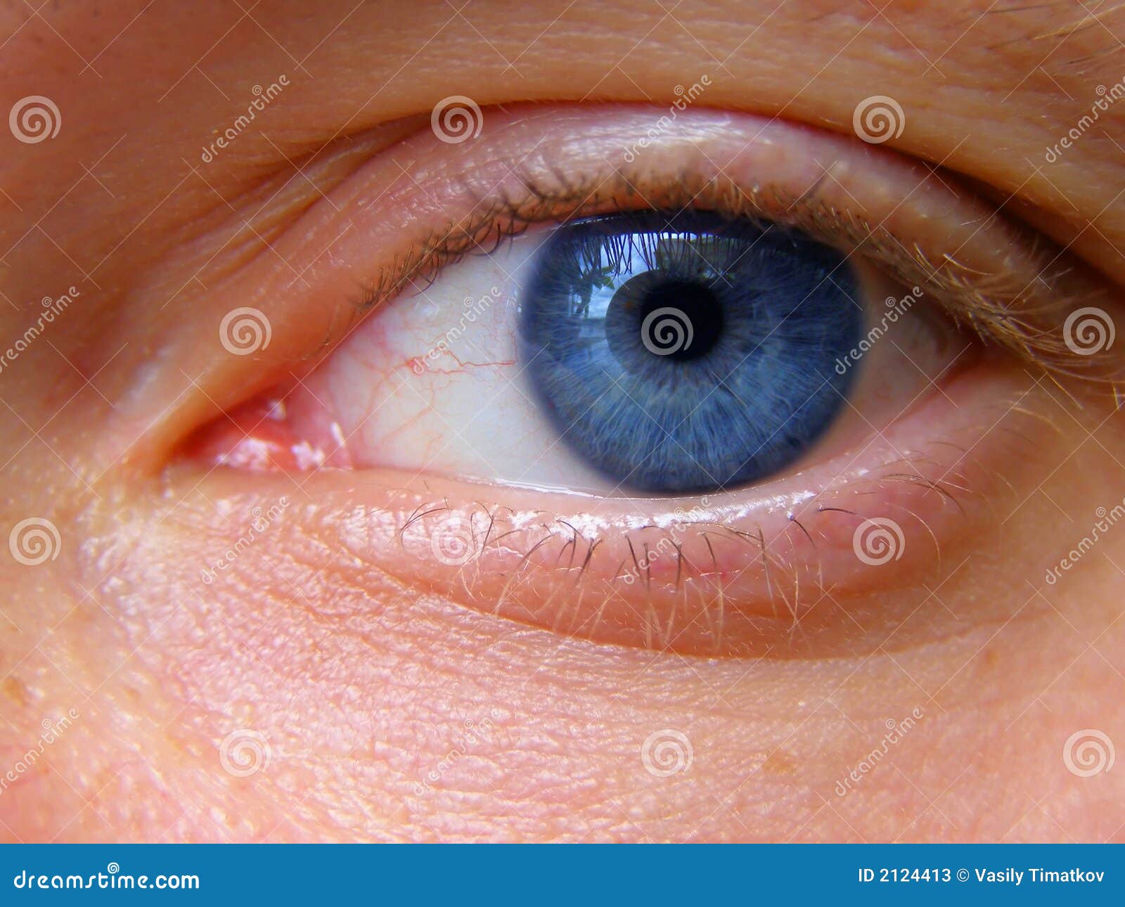 5,800 Single Human Eye Photos - Free & Royalty-Free Stock Photos from ...