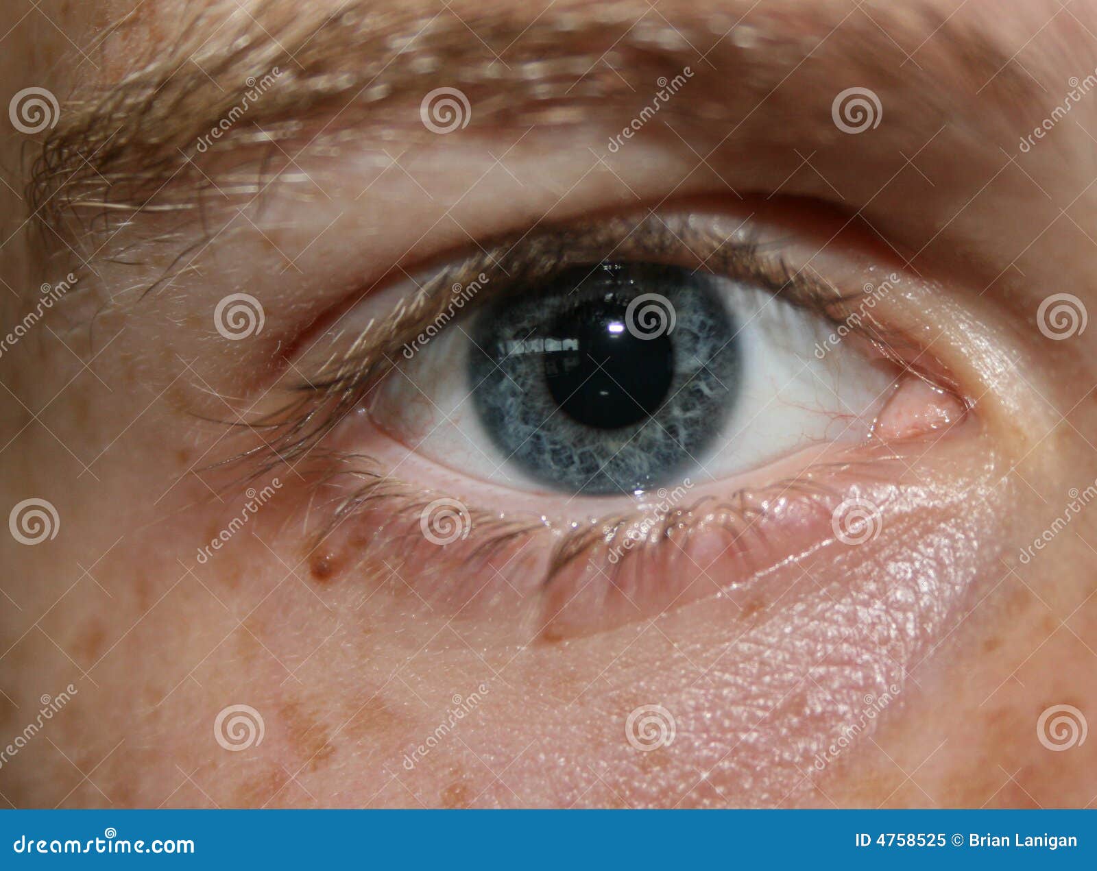 The Human Eye Picture. Image: 4758525