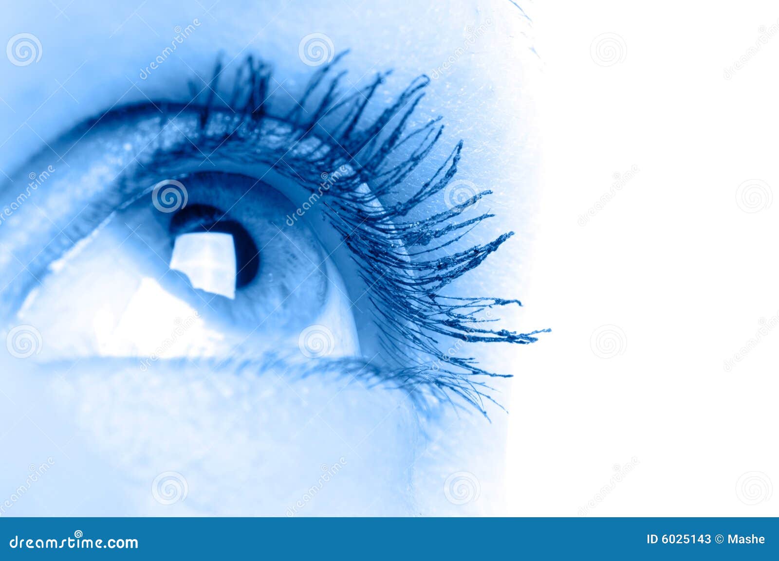 Human Eye stock image. Image of clarity, macro, optic - 6025143