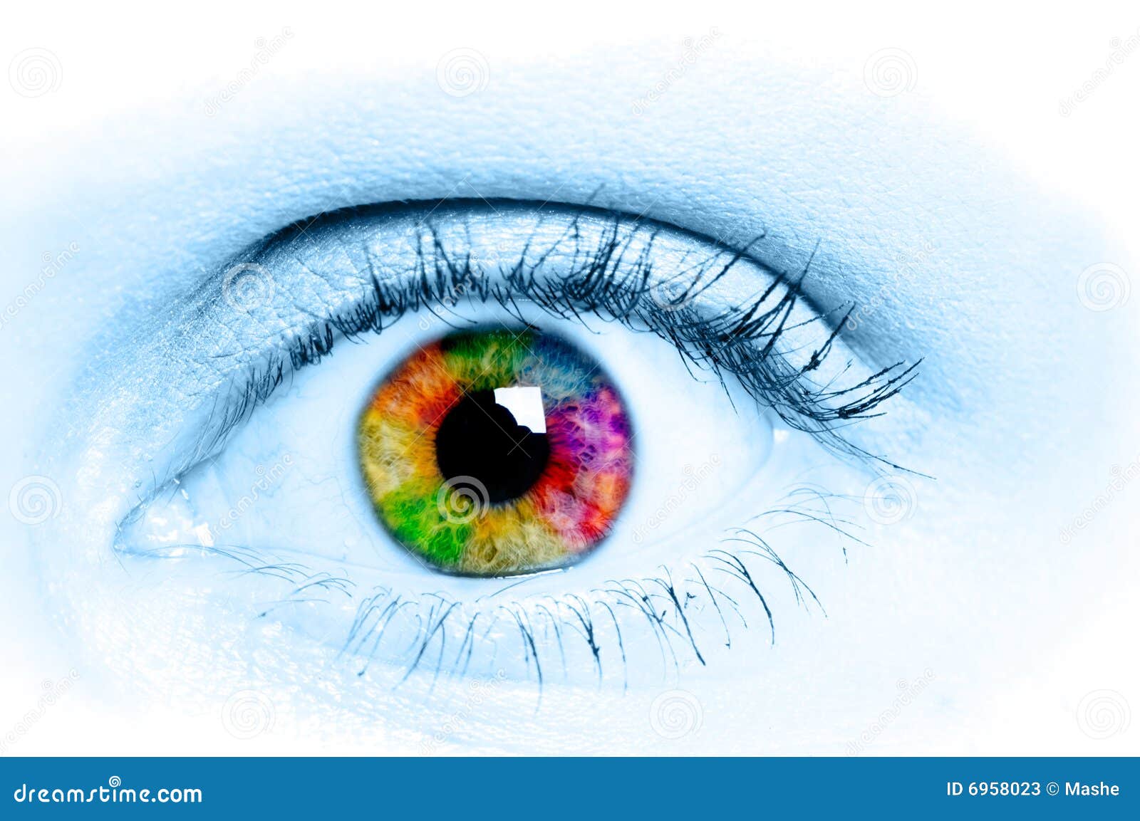 Human Eye stock image. Image of focus, inspiration, optical - 6958023